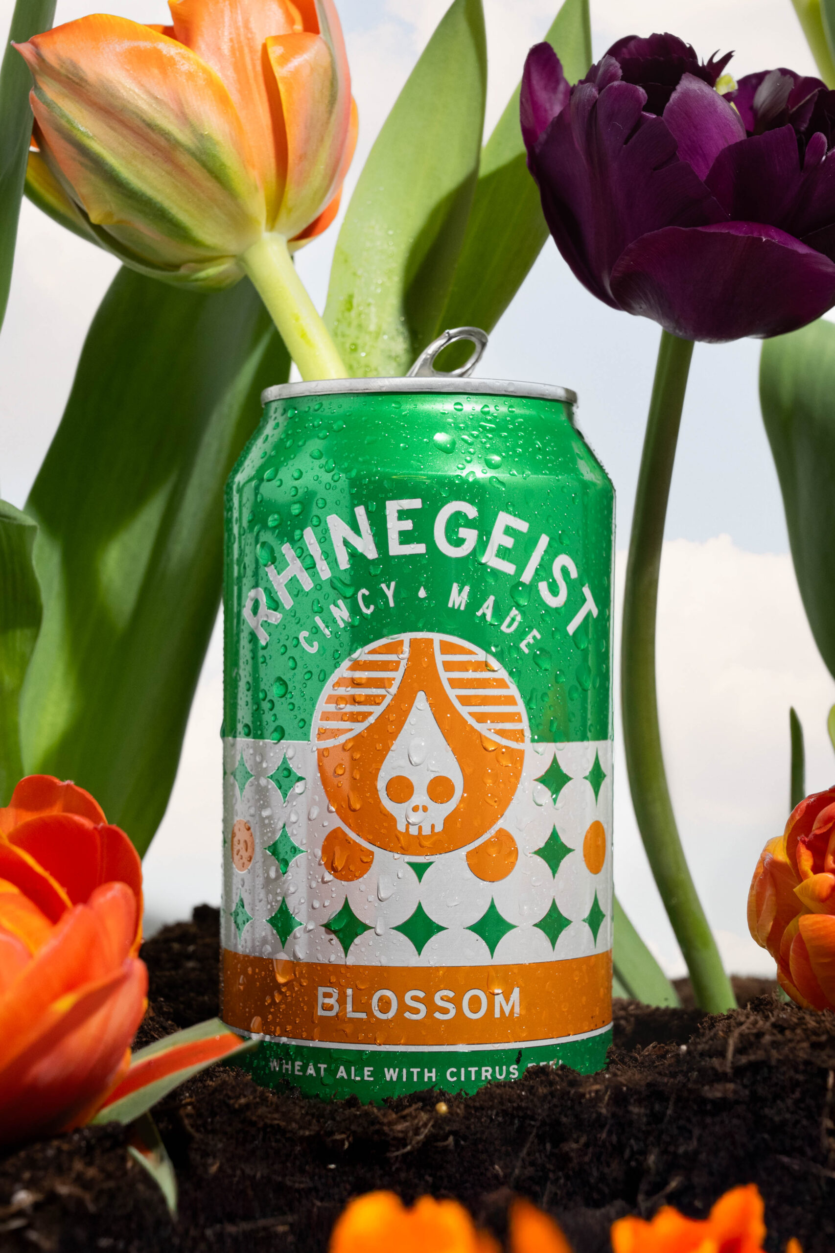 Blossom (Wheat Ale with Citrus Peel) - Rhinegeist Brewery
